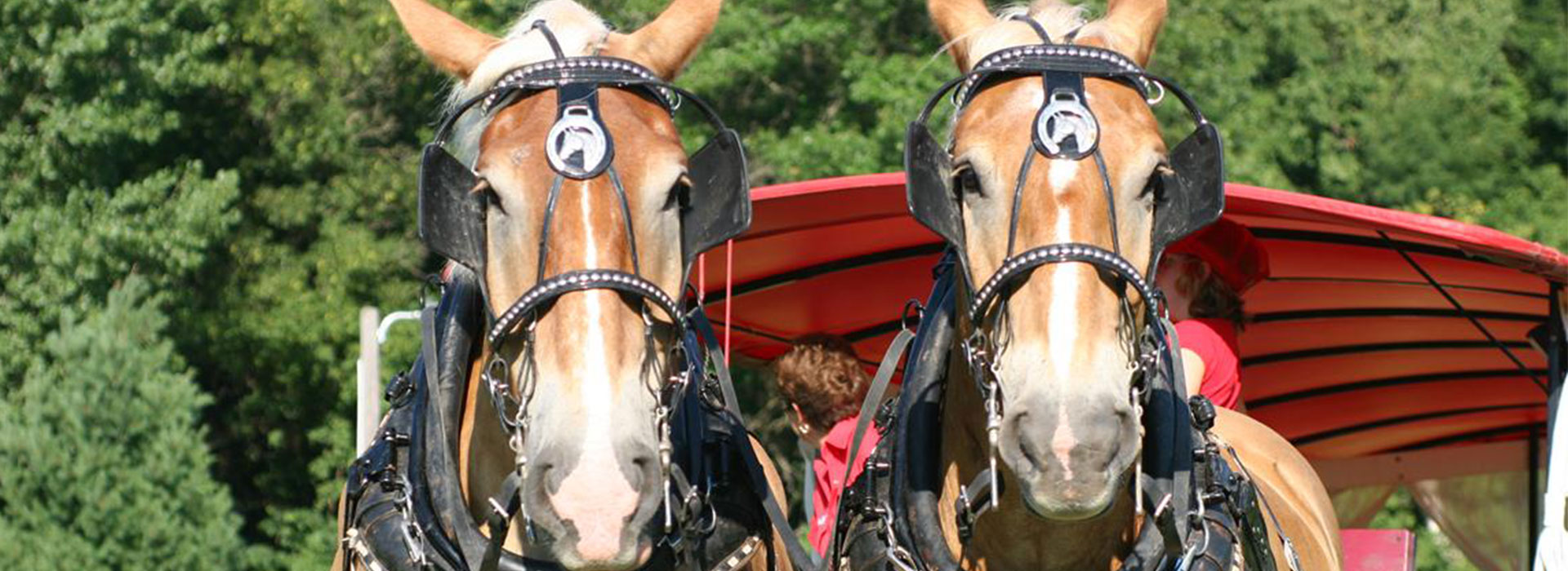 Home - Visit Pierce County in Western WI, a day trip tourism destination.